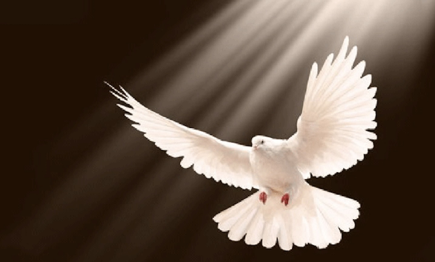 7 Benefits of Being Filled With The Holy Spirit | Worship Leaders ...