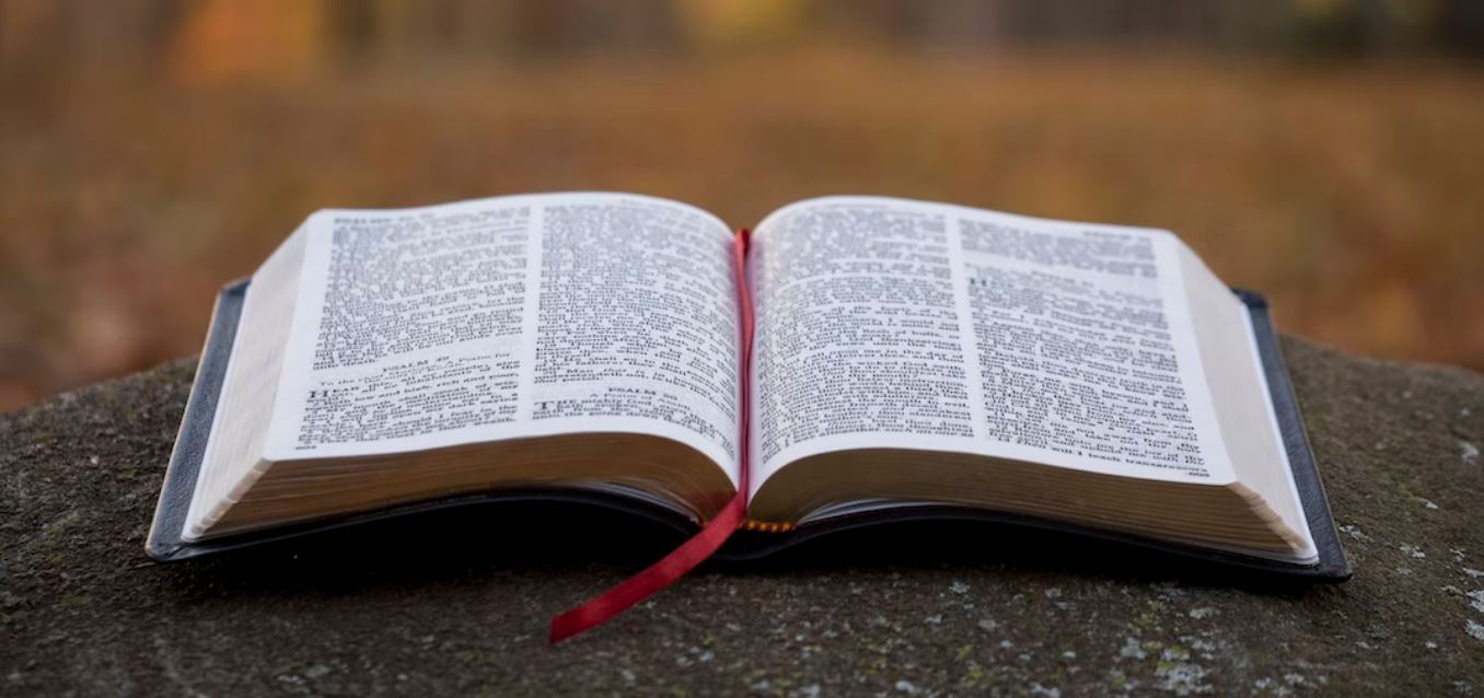 The Benefits of Daily Bible Reading: Insights from Scientific Studies ...