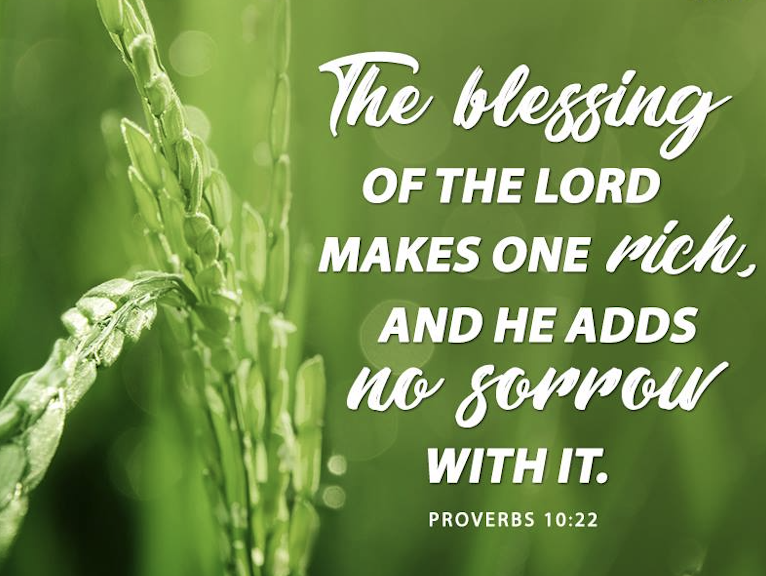 The Blessing of the Lord: Riches Without Sorrow | Worship Leaders ...