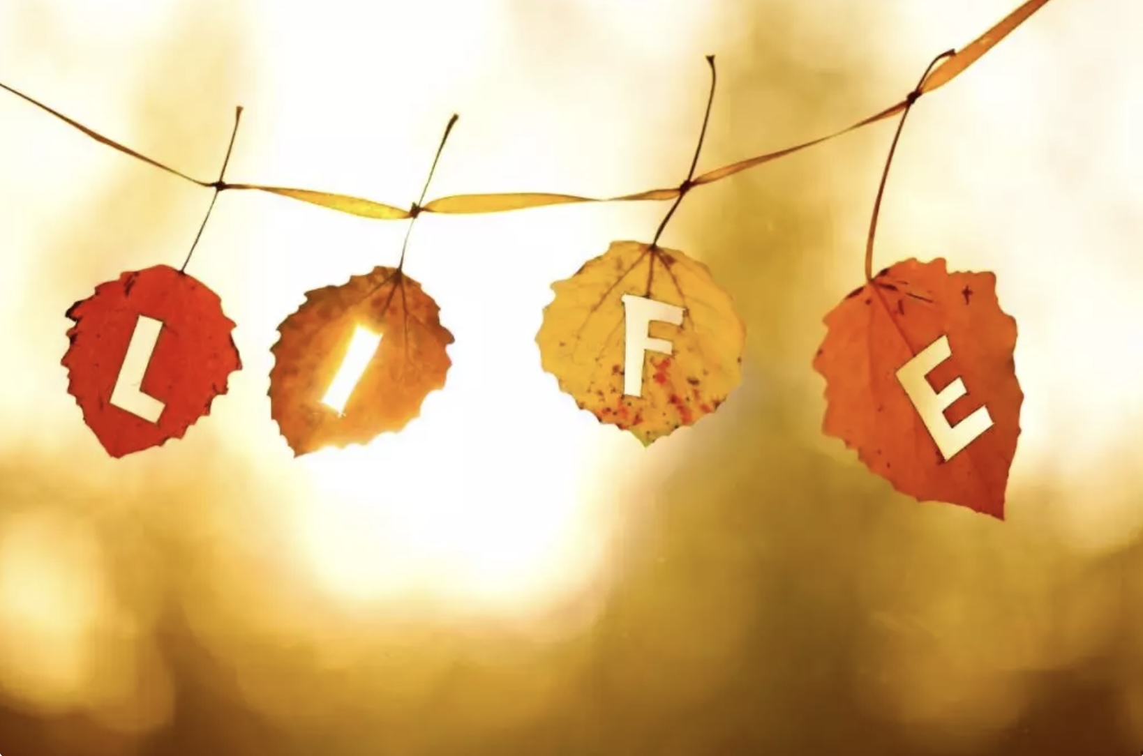 7 Keys to a Rich and Satisfying Life | Worship Leaders University