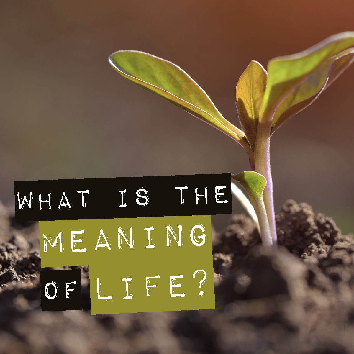 What Is the Meaning of Life? | Worship Leaders University