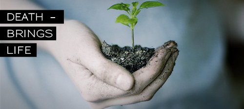 The Death That Brings Life | Worship Leaders University