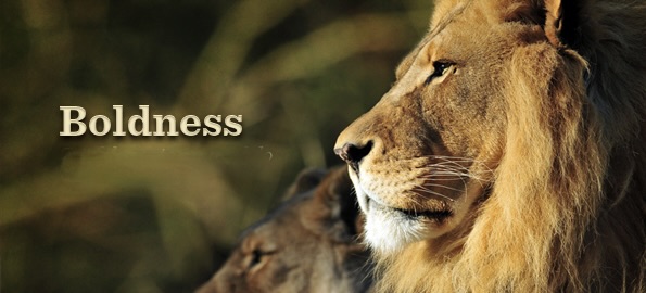 Boldness in the Face of Opposition | Worship Leaders University