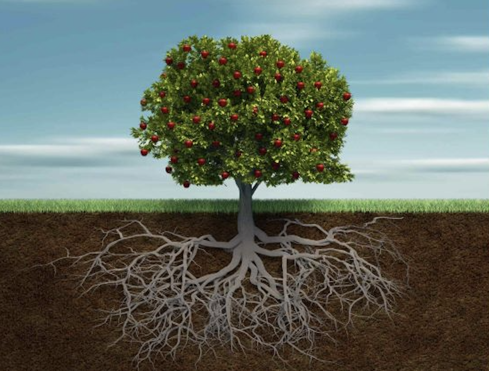 Deep Roots, Strong Faith | Worship Leaders University
