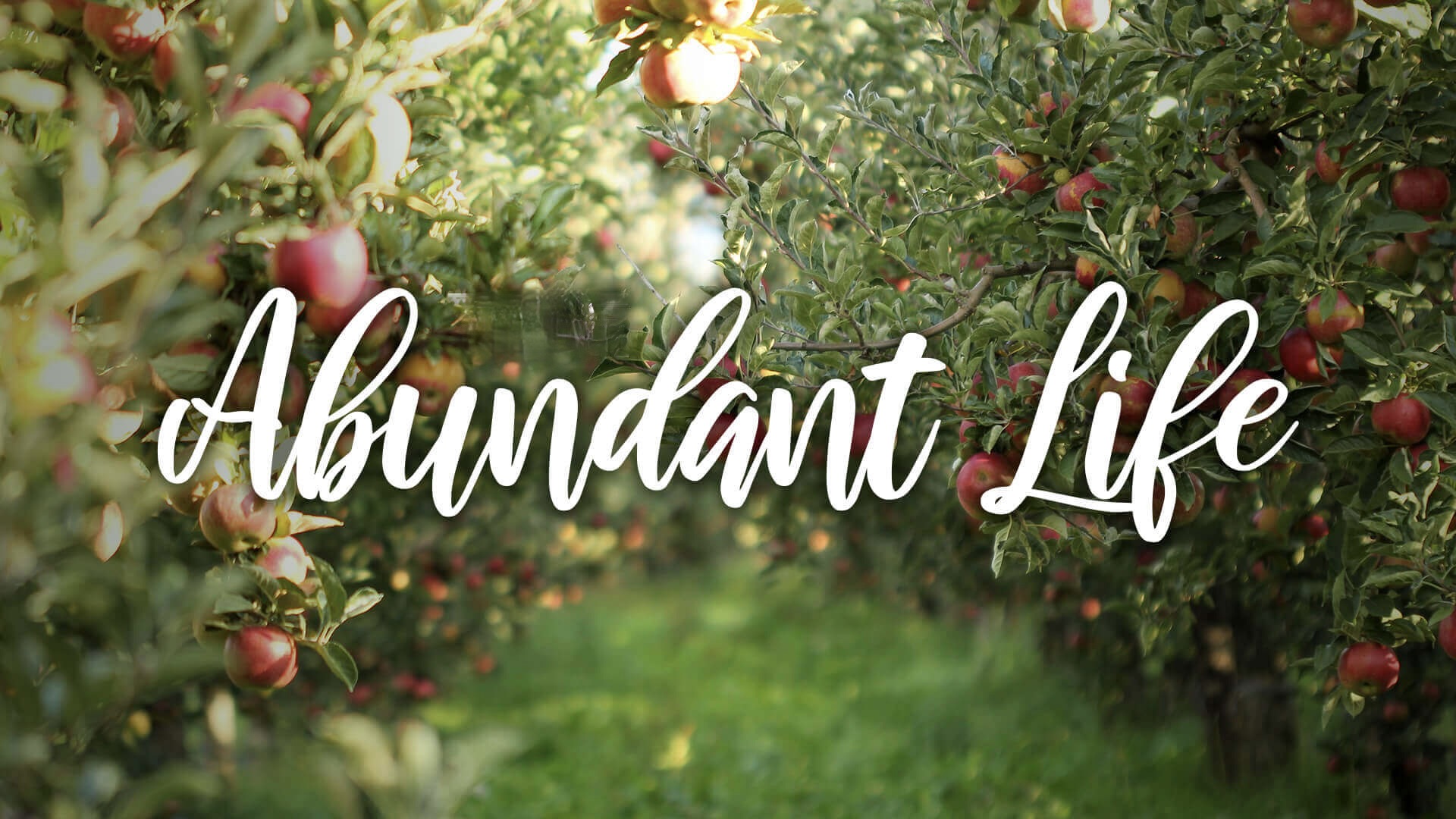 Sharing God’s Promise of Abundant Life | Worship Leaders University