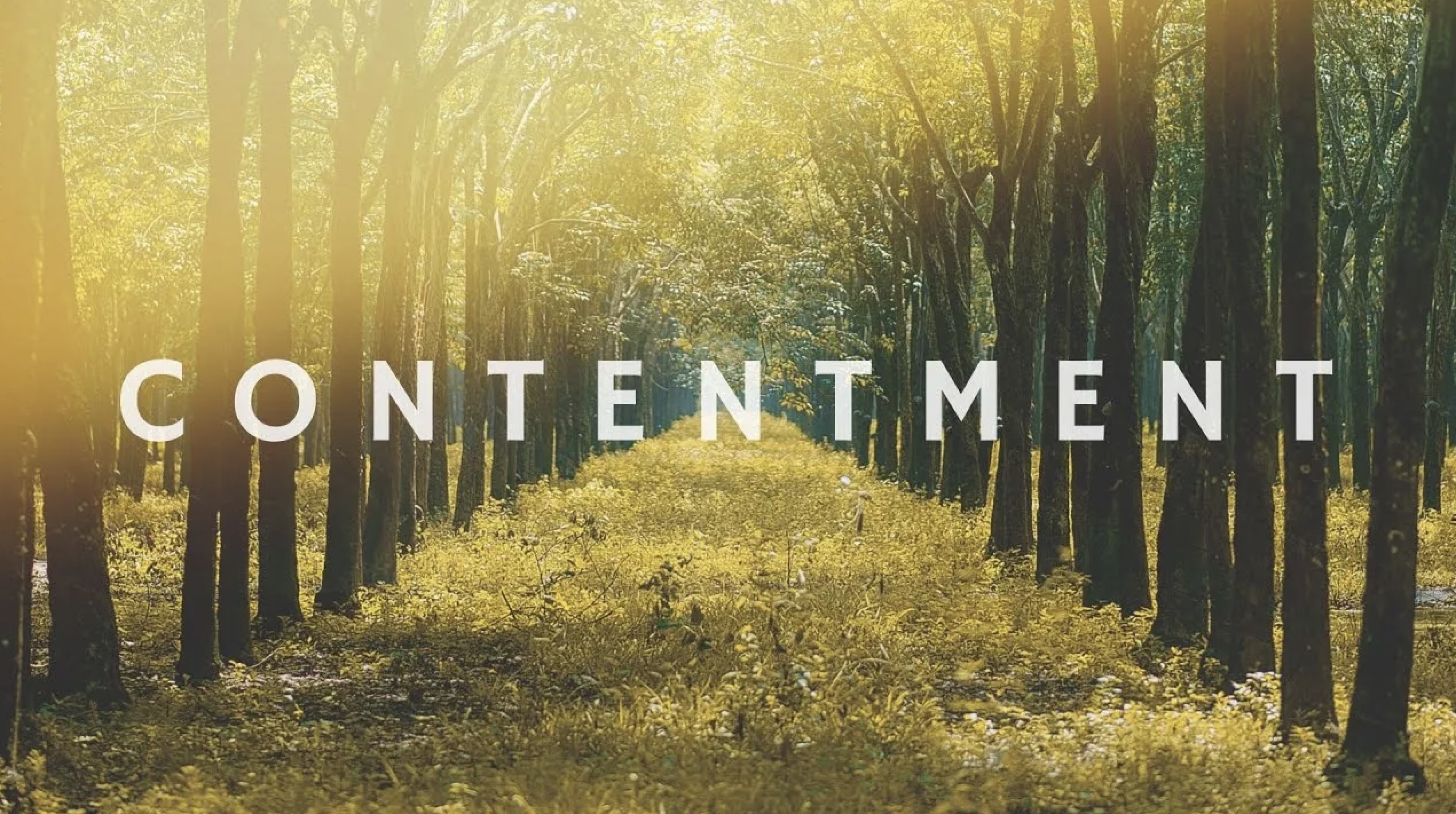 The Secret of True Contentment | Worship Leaders University