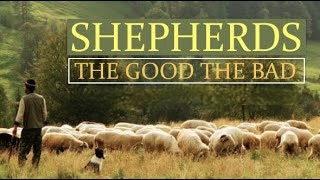 Shepherds: The Good and the Bad | Worship Leaders University