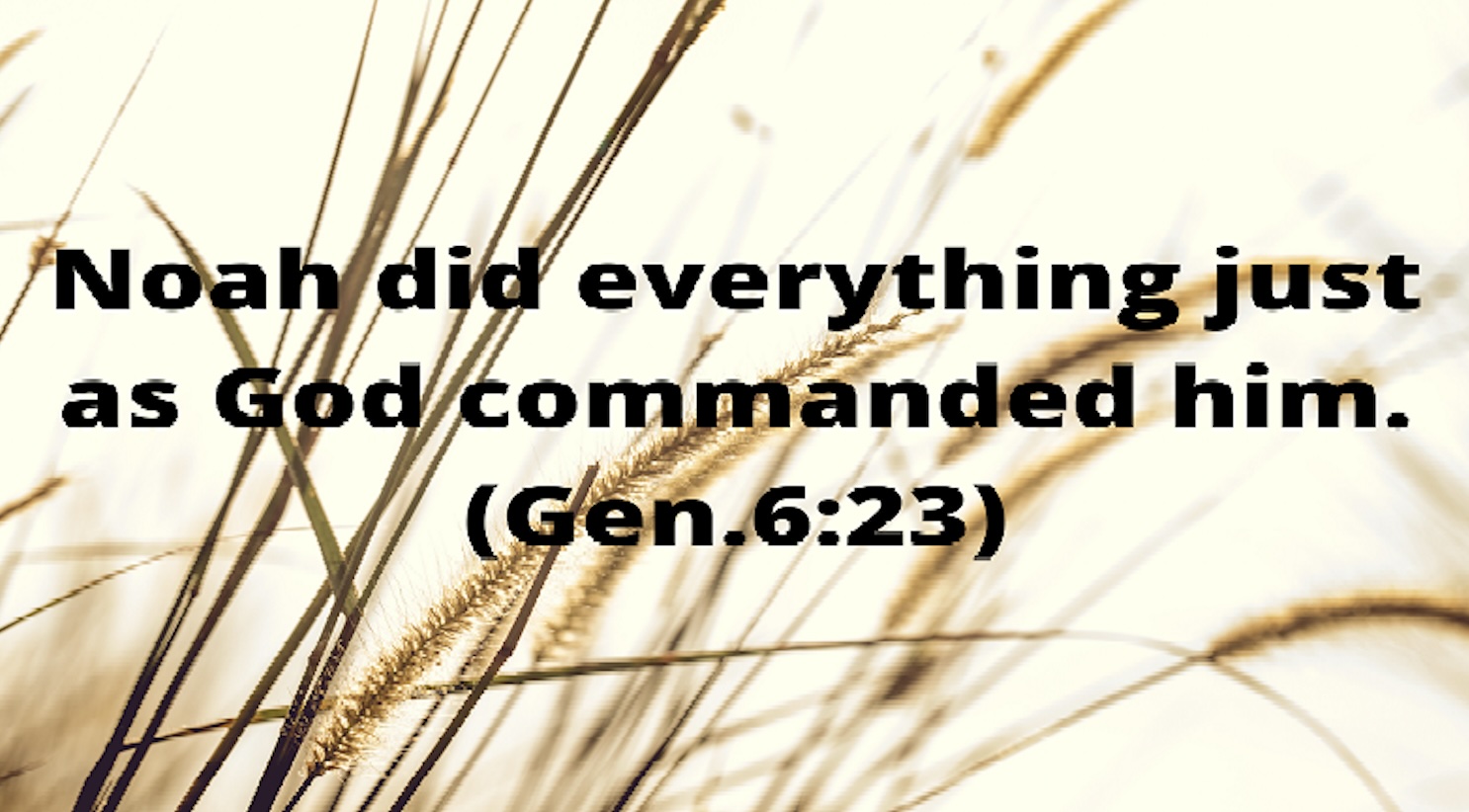 Noah Did Everything Just as God Commanded Him | Worship Leaders University